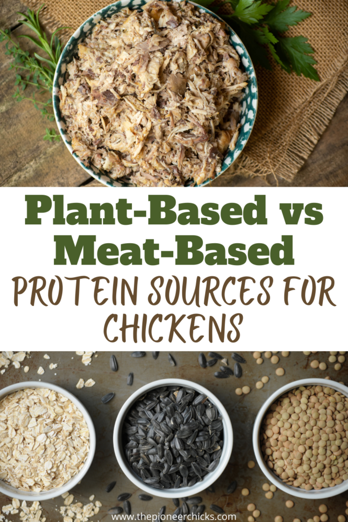 Plant-Based vs Meat-Based - The Pioneer Chicks