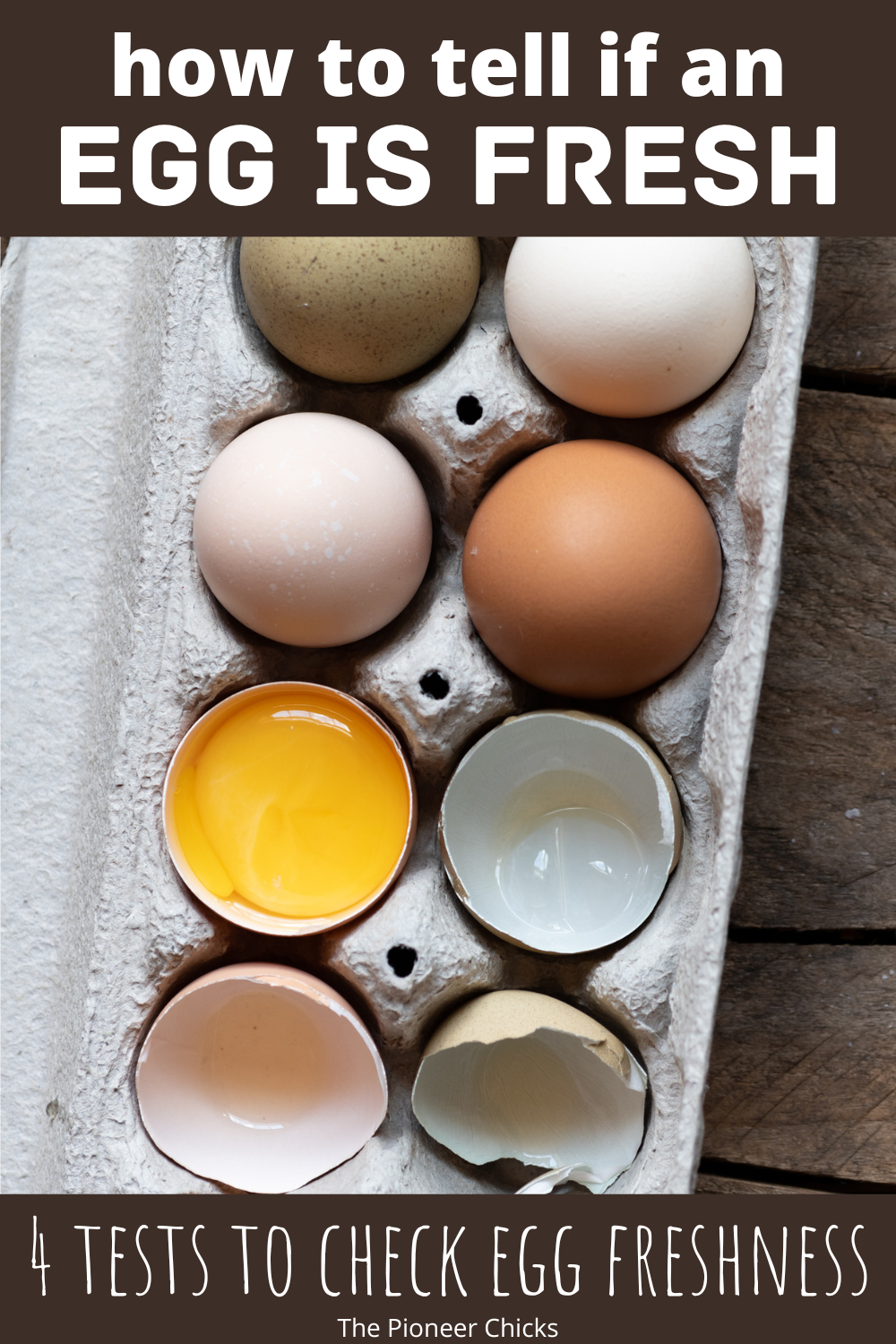 Egg is Fresh - The Pioneer Chicks